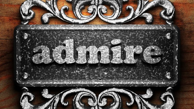 admireの意味・使い方を例文や類義語とともに徹底解説| Kimini英会話