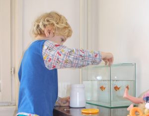 「餌」「餌をやる」の英語って？ペット好きの人ならぜひ覚えたい単語feed| Kimini英会話