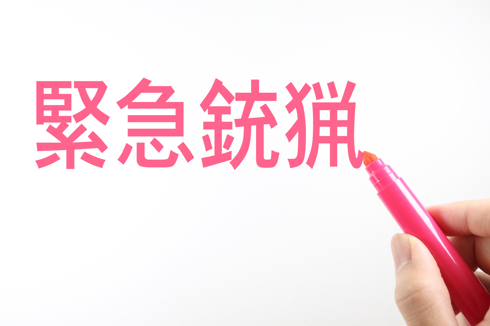 【緊急銃猟】は英語で何？新語・流行語大賞ノミネート語30に選出！| Kimini英会話