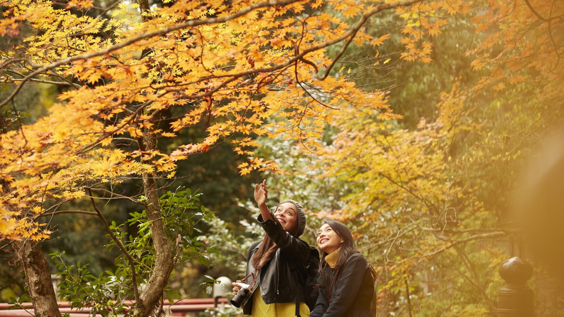 【紅葉狩り】を英語で表現！「紅葉を見に行く」と言いたいときのフレーズなど紹介| Kimini英会話